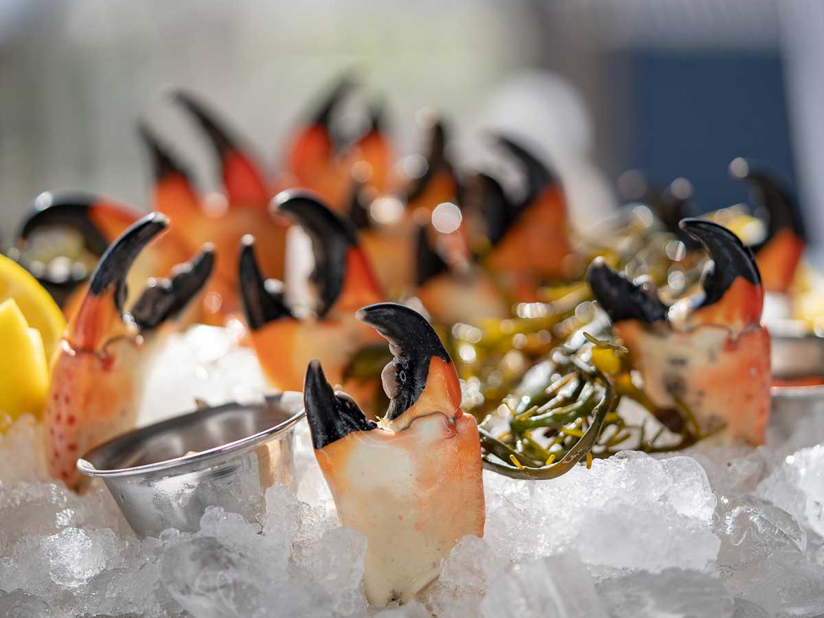Fort Lauderdale Beachfront Restaurant | OCEAN2000