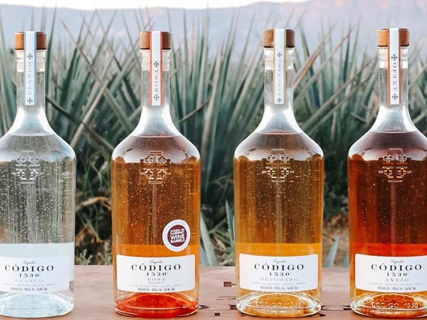 Fort Lauderdale Beach American Restaurant | OCEAN2000